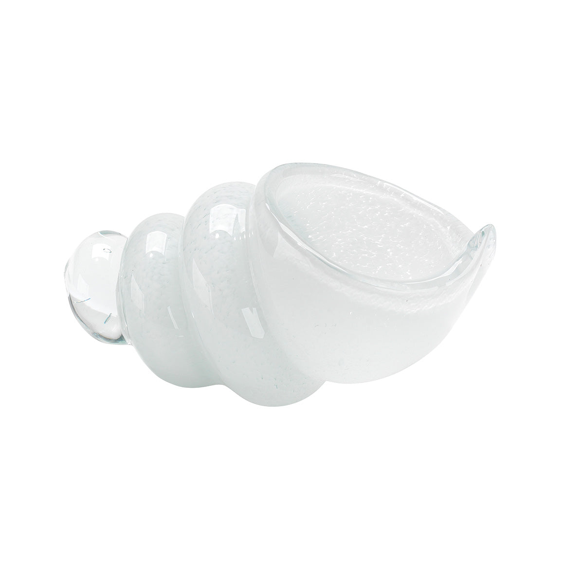 White Ariel Shells, Set of 2 – Coastal Decor – Coastal Bleu